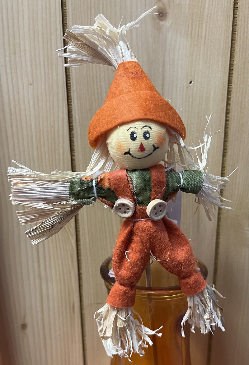 Small Orange Scarecrow arranged by a florist in Hartford City, IN ...
